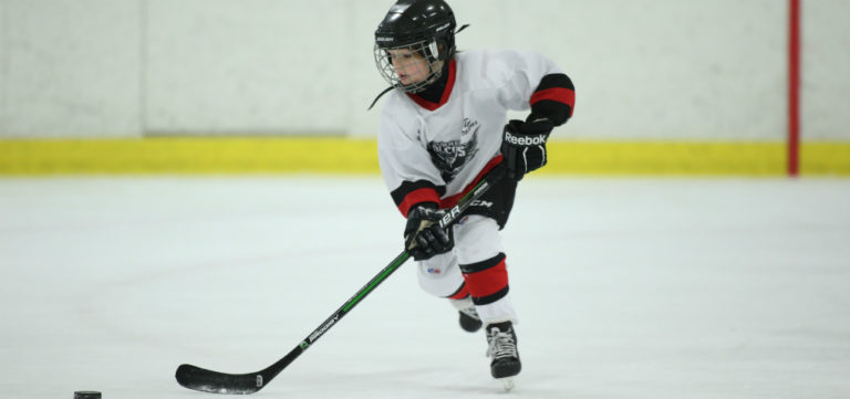 Home - Surrey Female Hockey Association