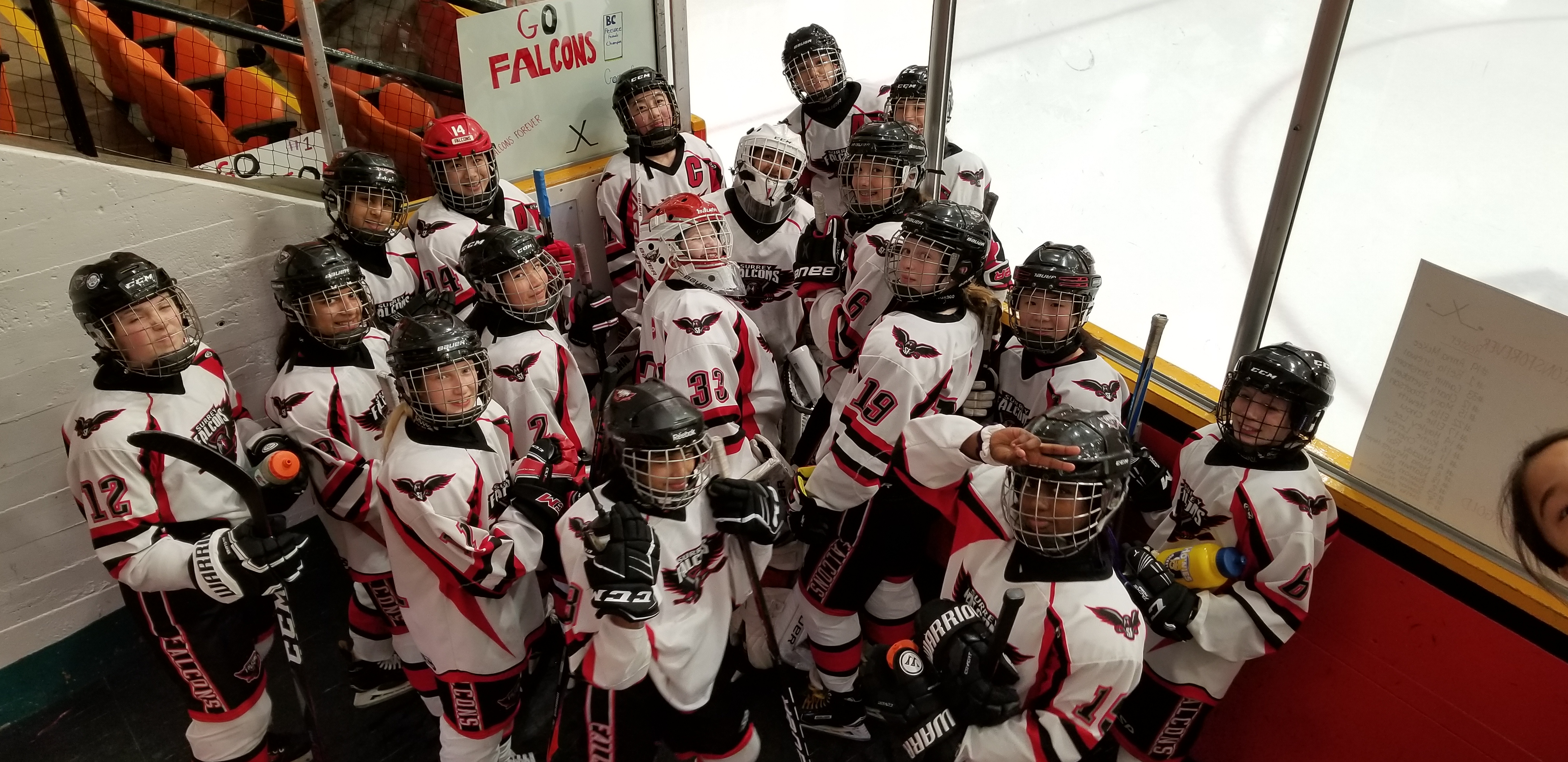 Pee Wee A Win Provincial SILVER - Surrey Female Hockey Association